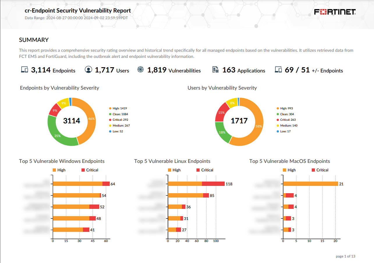 Using the template - Endpoint security vulnerability report ...